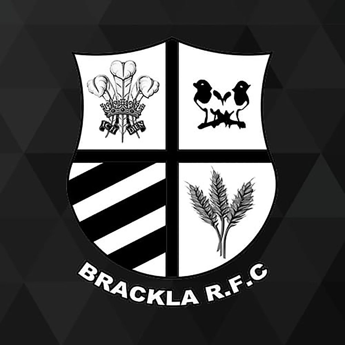 Brackla RFC: A Legacy of Community Rugby – Wasted Gorilla